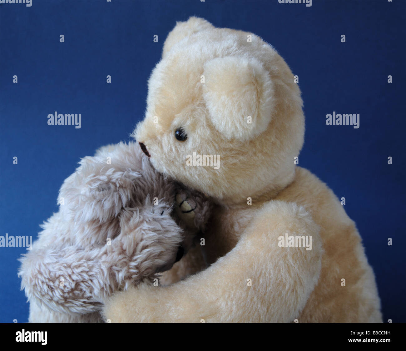 Crying Teddy Bear Wallpaper
