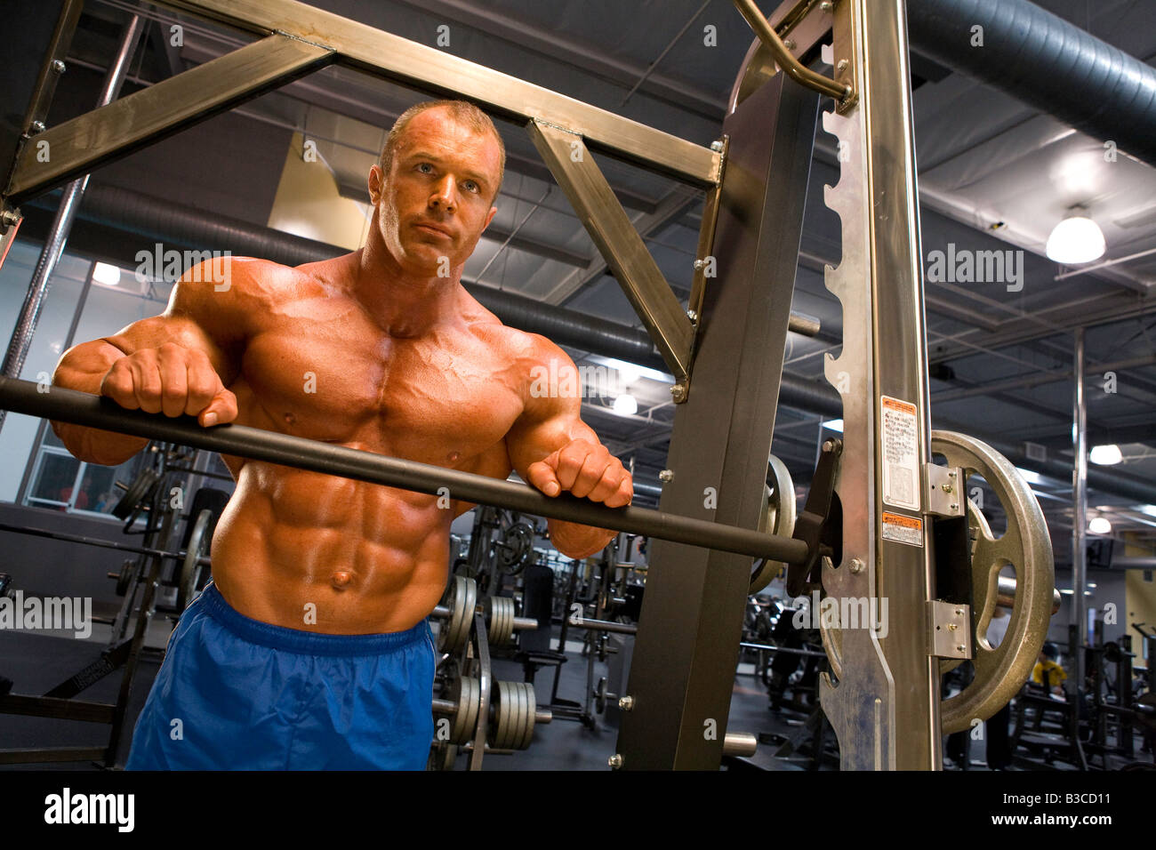 bodybuilder muscle power strength arm bicep steroid torso muscular arm ...