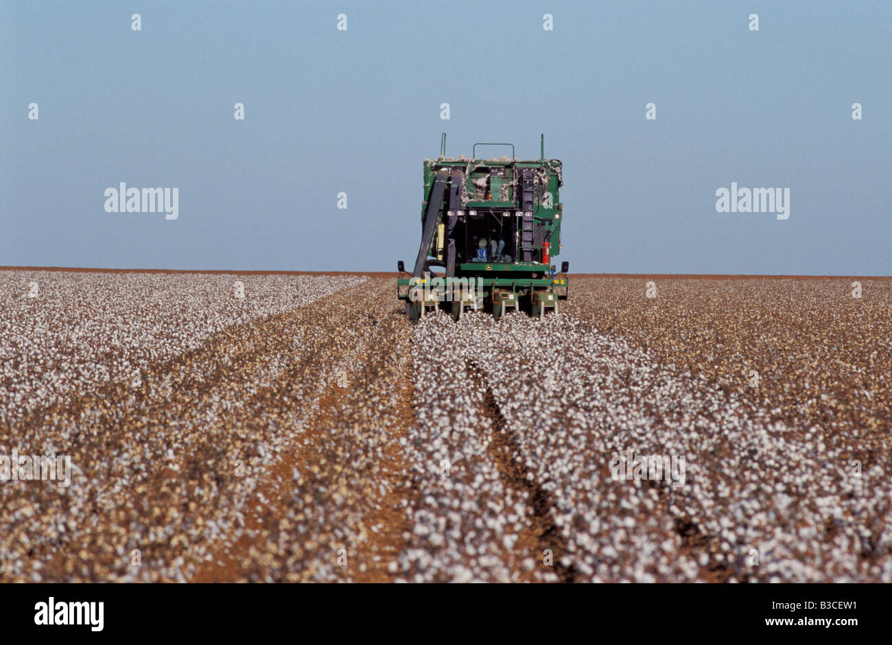 Nsw australia cotton hi-res stock photography and images - Alamy