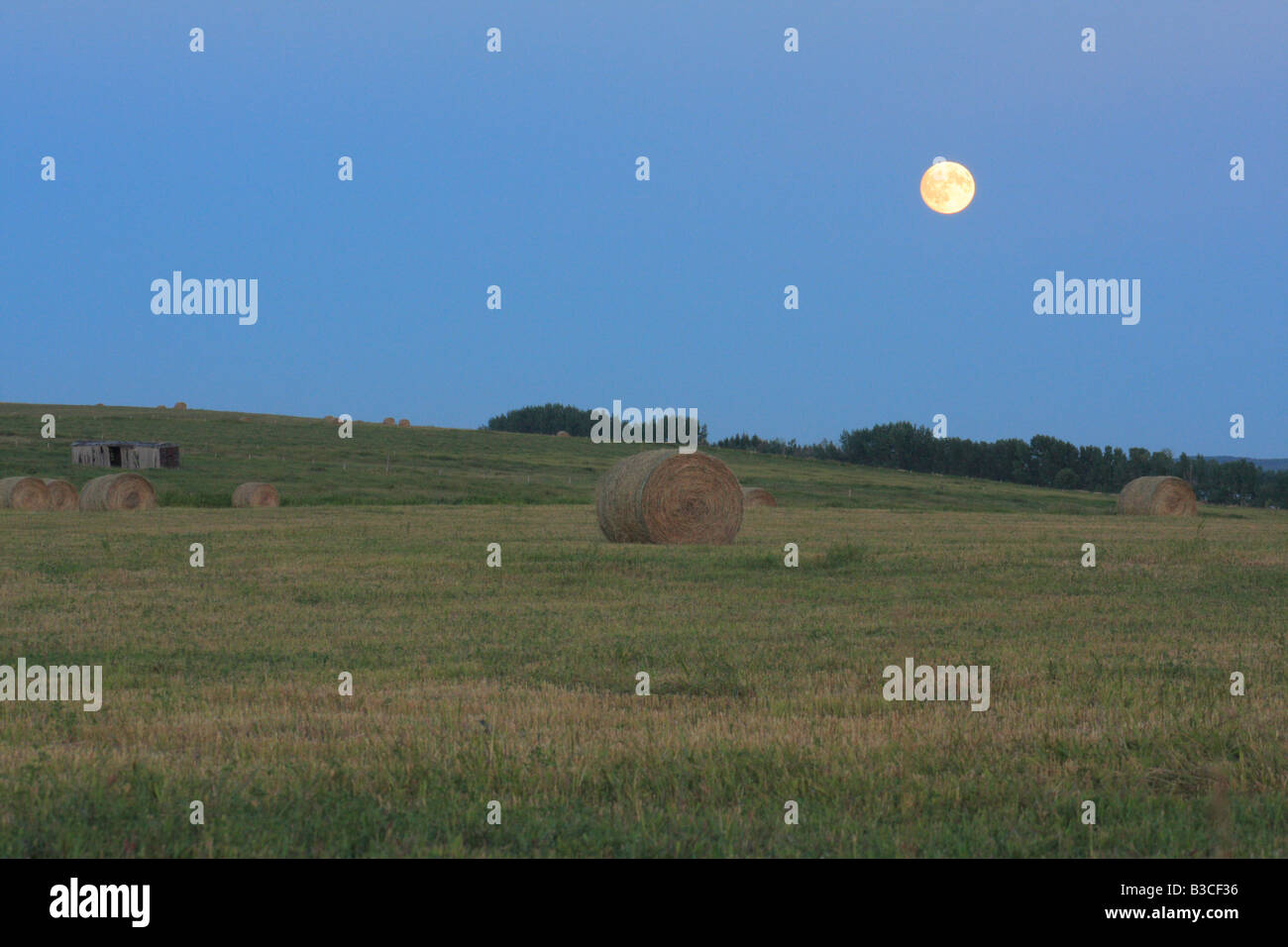 Rising full moon just outside Calgary, Alberta Stock Photo - Alamy