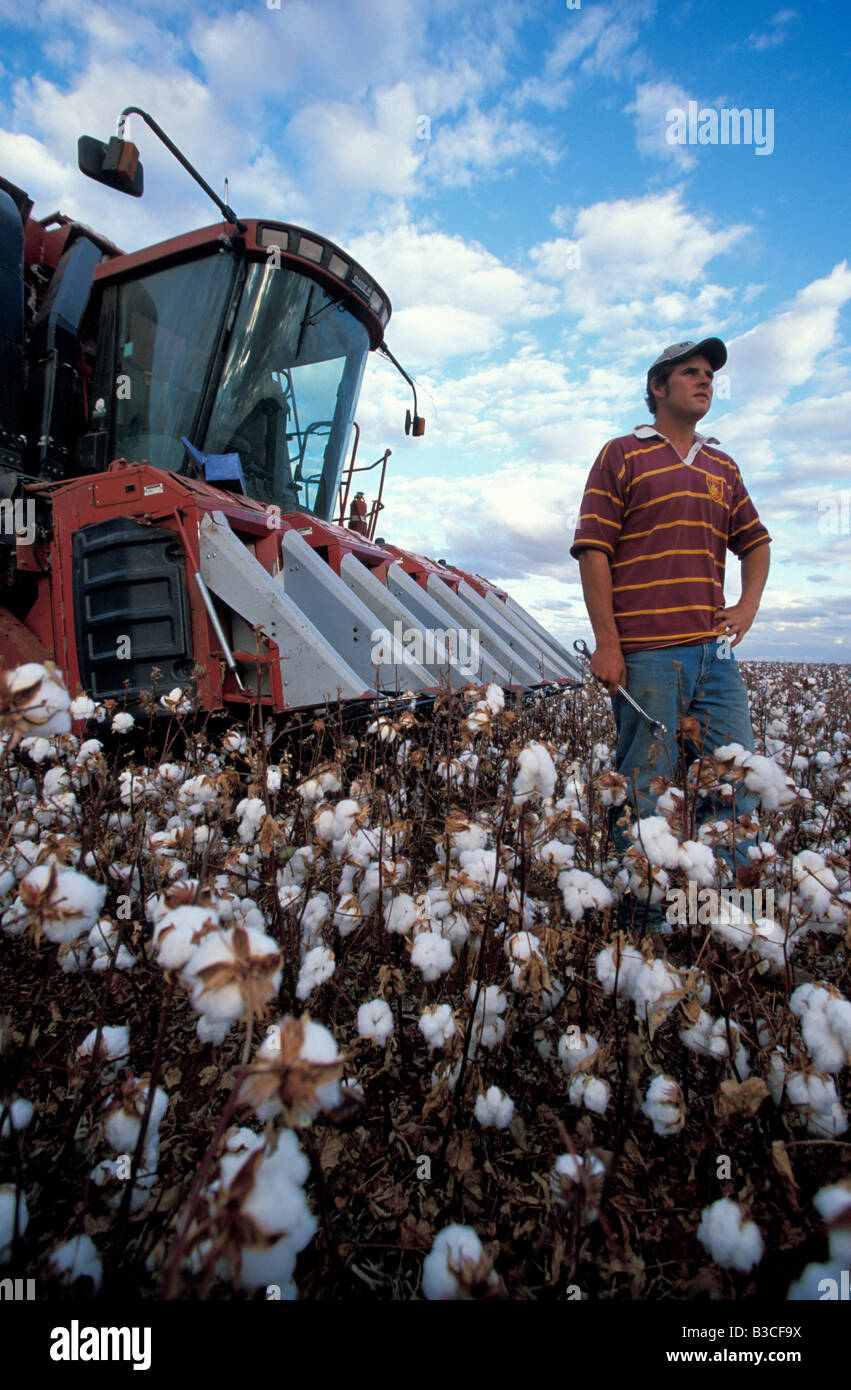 Header Maintenance Cotton Harvest Hillston New South Wales Australia ...
