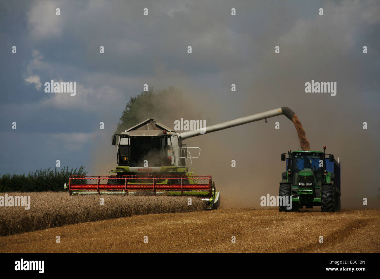 A COMBINE HARVESTER AND TRACTOR HARVEST WHEAT FOR BREAD PRODUCTION AT ...