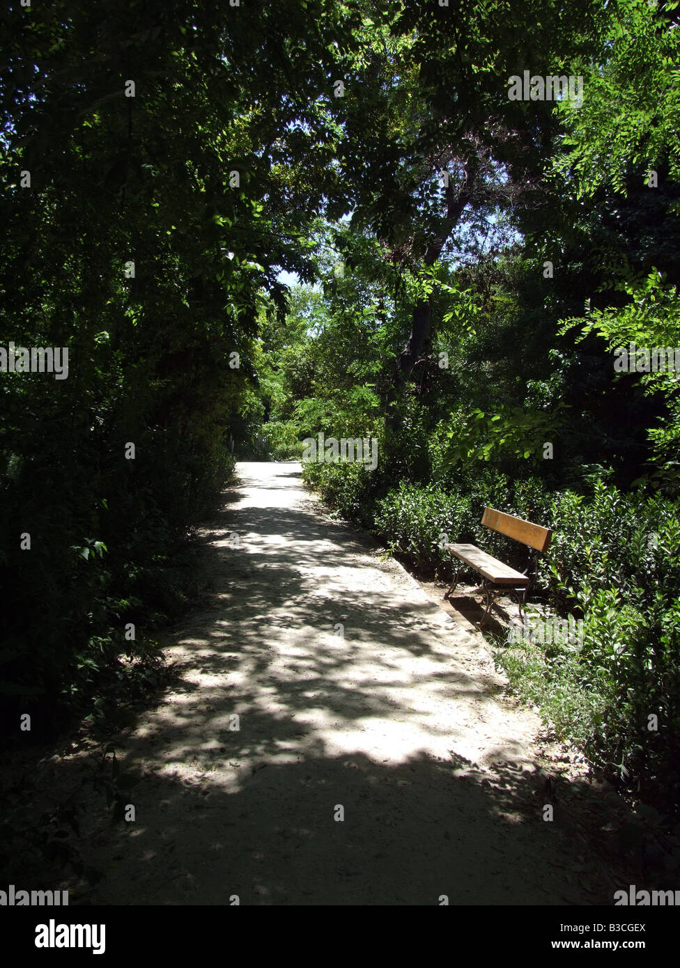 one empty bench in park in athens, greece Stock Photo - Alamy