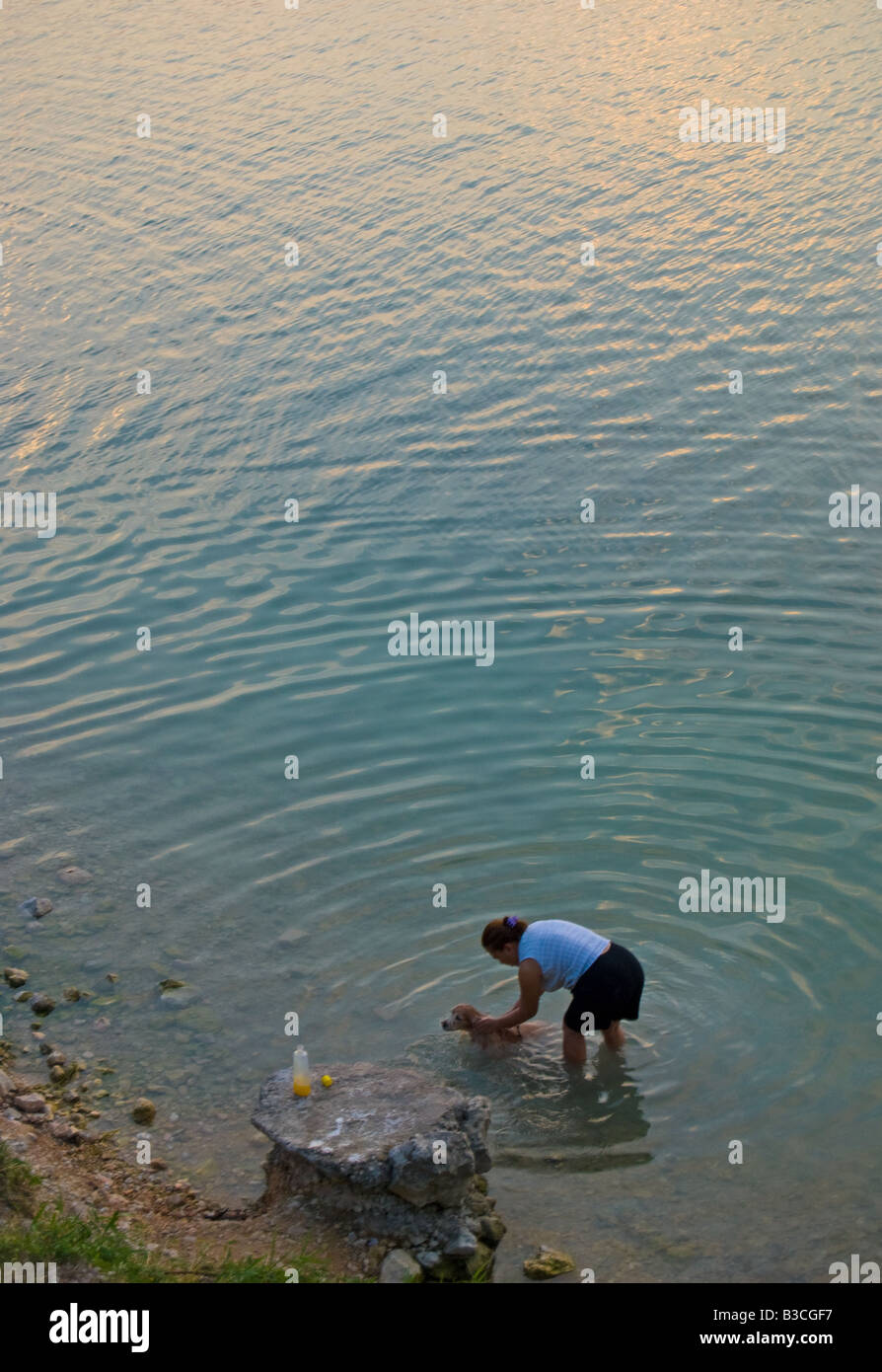 Dog Gets Clean Stock Photo - Alamy