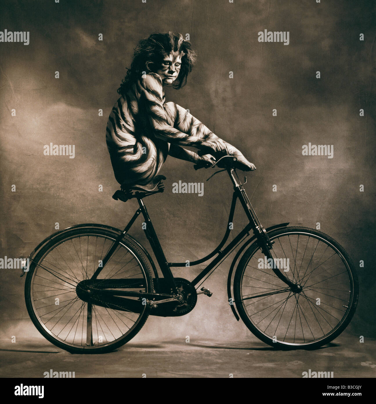 Balancing cat pose High Resolution Stock Photography and Images - Alamy