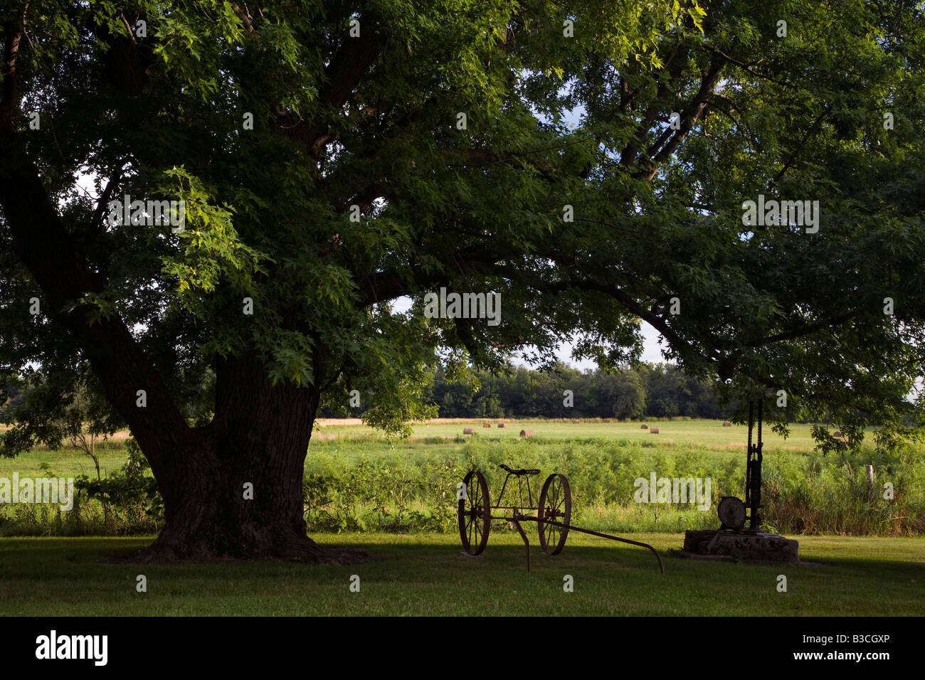 Norman borlaug hi-res stock photography and images - Alamy