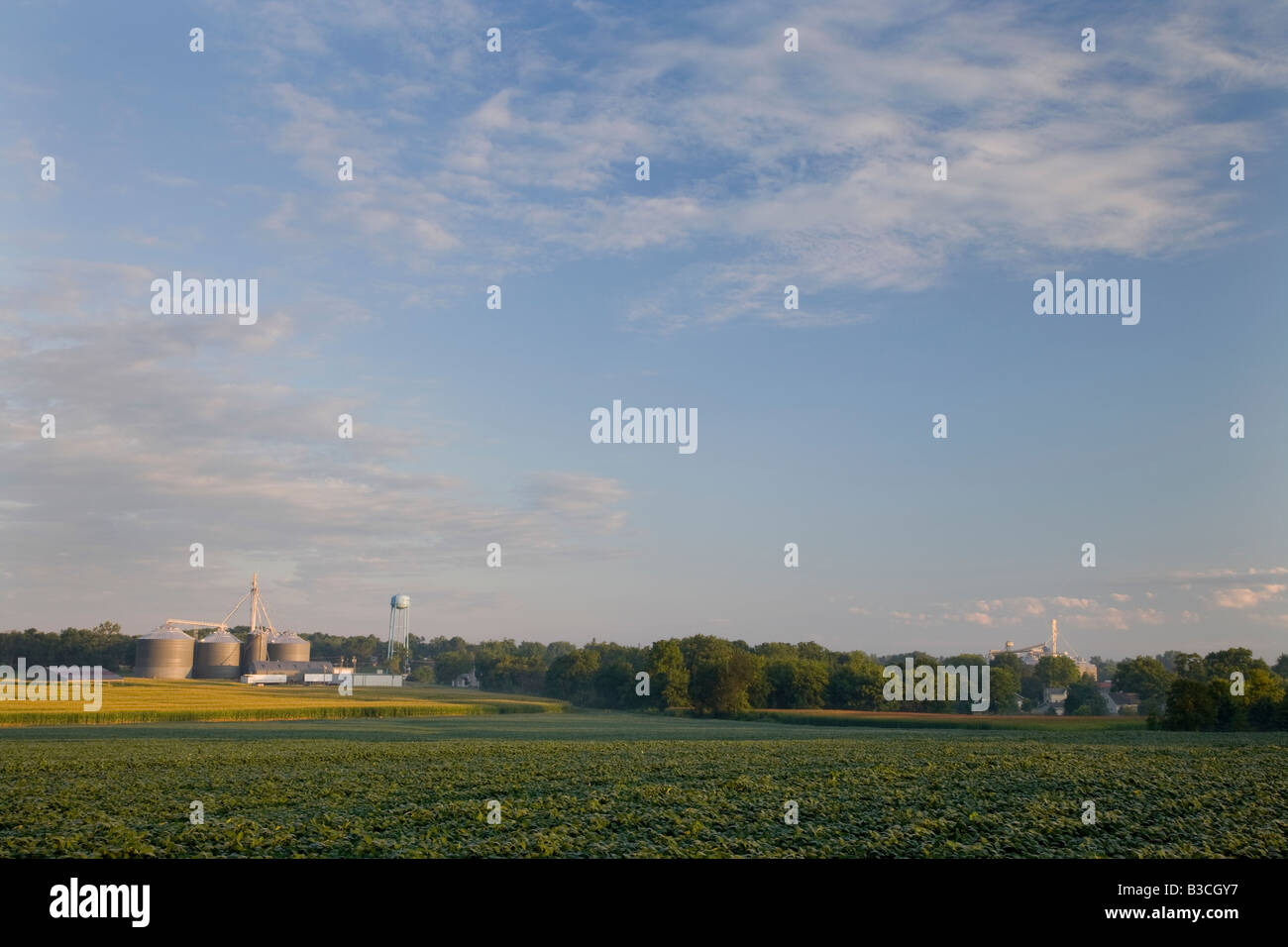 soybean field and town of Lime Springs, Howard County, Iowa Stock Photo ...