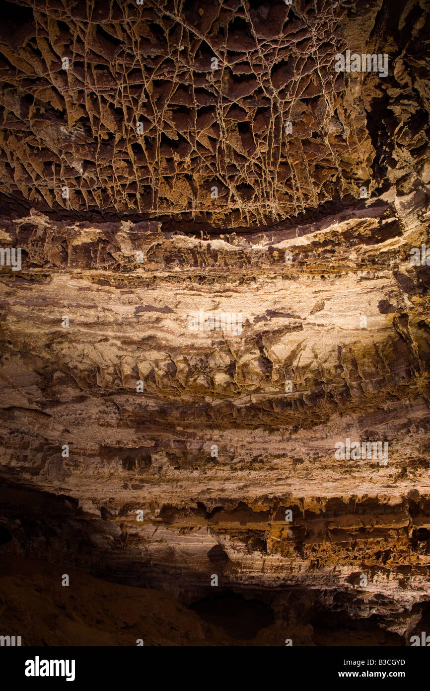 boxwork, Wind Cave National Park, South Dakota Stock Photo - Alamy