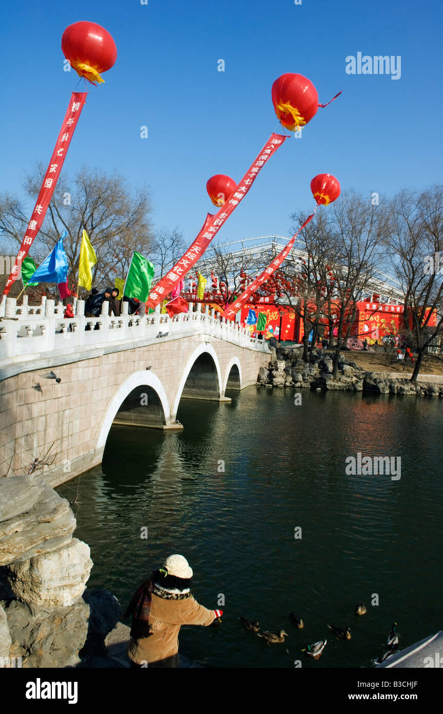 China, Beijing. Chinese New Year Spring Festival - a girl feeding ducks ...