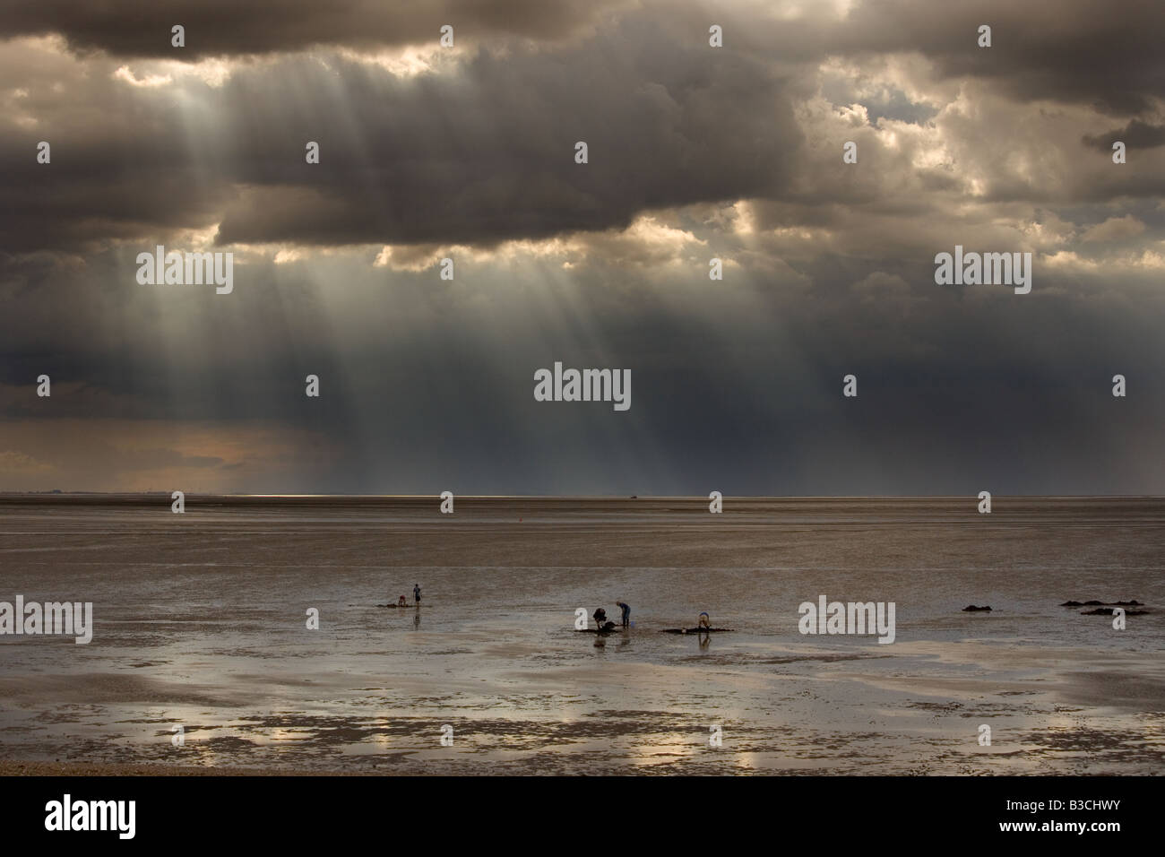 Worm diggers hi-res stock photography and images - Alamy