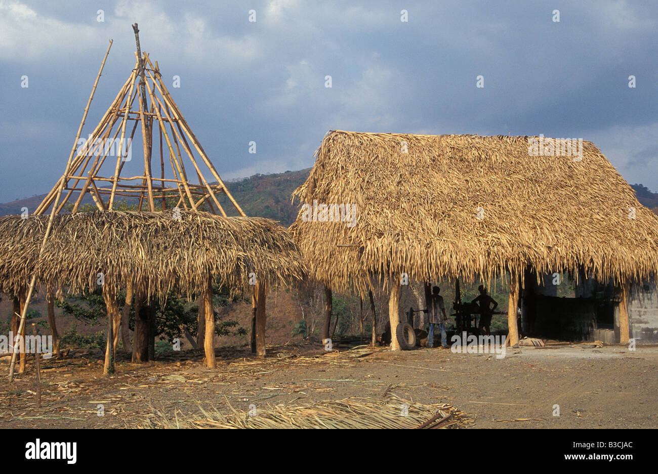 Palm Thatching in Guanacaste Costa Rica Central America Stock Photo - Alamy