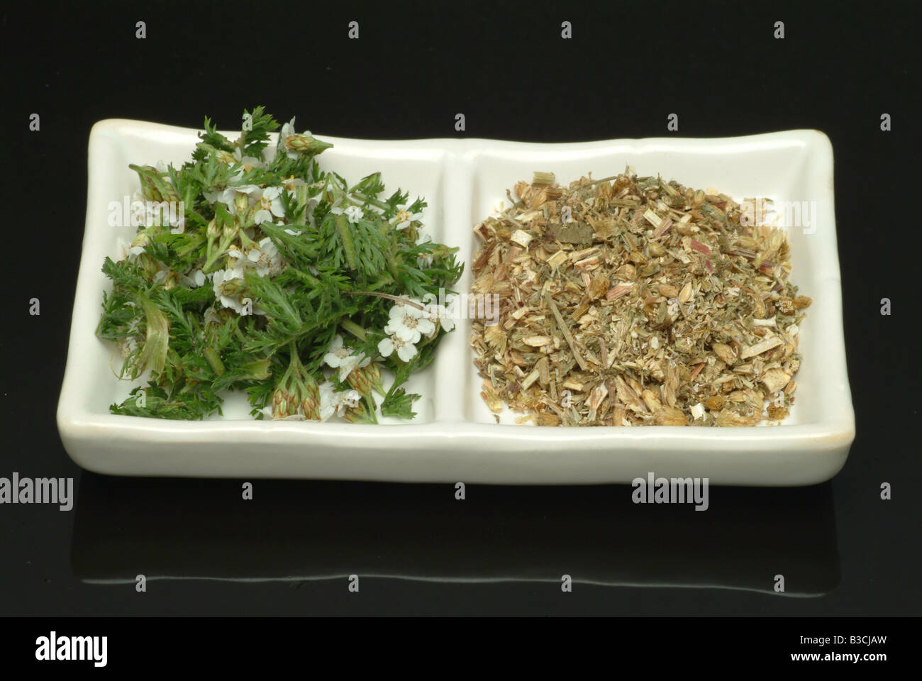 medicinal plant yarrow Carpenter s Weed Common Yarrow Milfoil Achillea ...