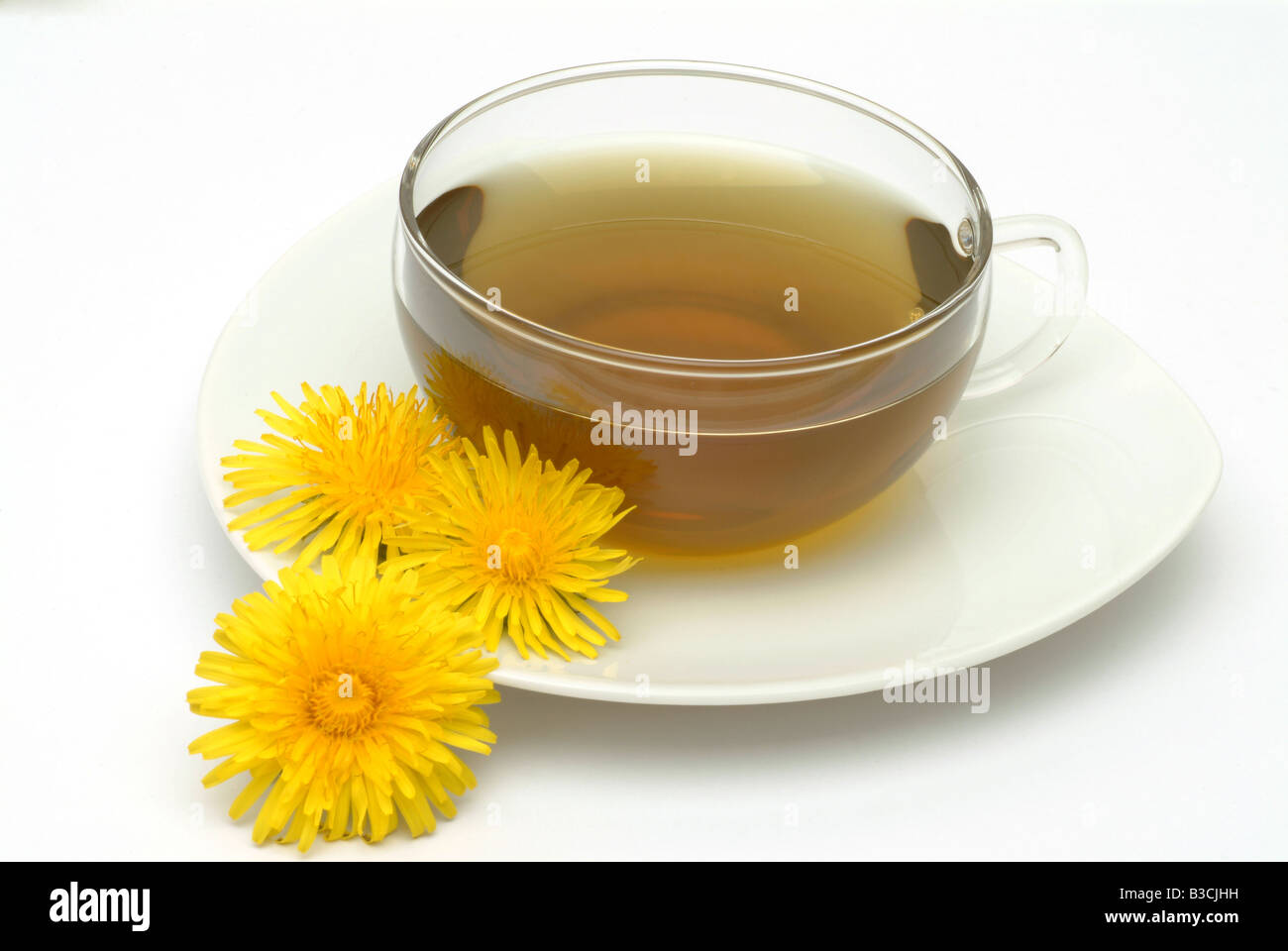 medicinal tea made of Taraxacum officinale Medicinal plant common ...