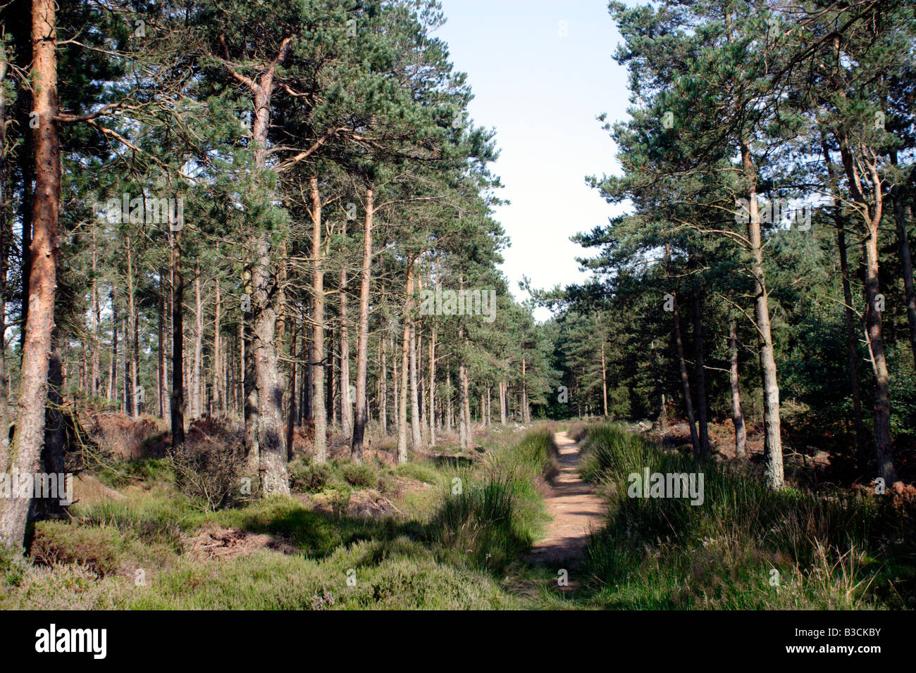 Simonside hills hi-res stock photography and images - Alamy