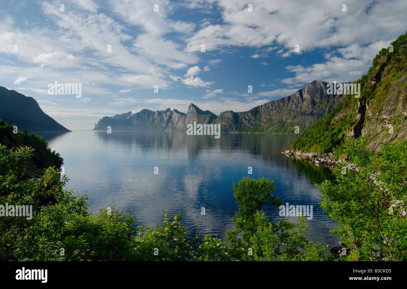 Fjord island of Senja Northern Norway Stock Photo - Alamy
