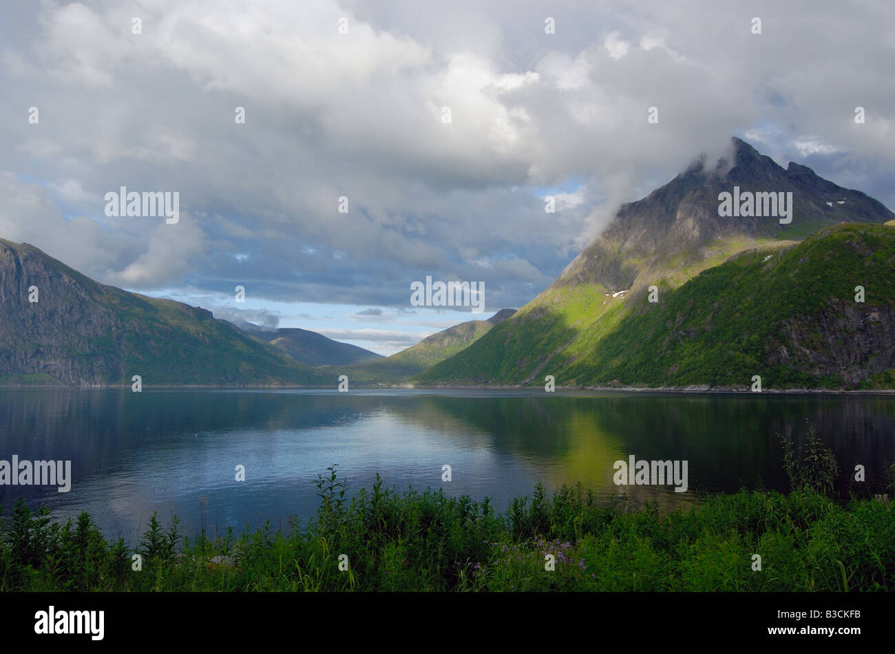 Mefjorden fjord island of Senja Northern Norway Stock Photo - Alamy
