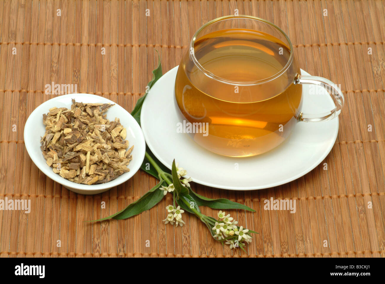 Medicinal plant medicinal tea Swallow wort Vincetoxicum Vincetoxicum ...