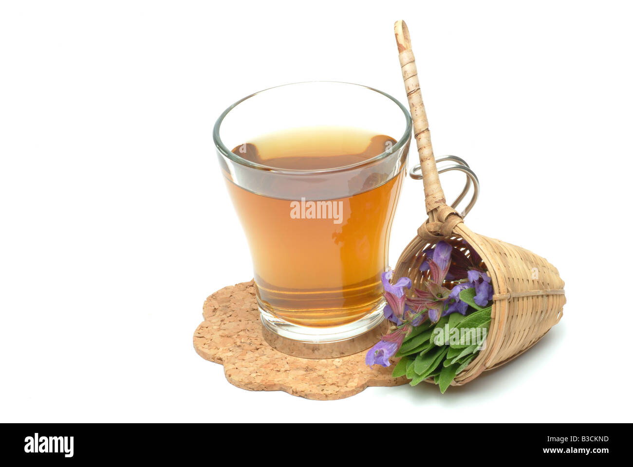 Salbeitee sage tea hi-res stock photography and images - Alamy