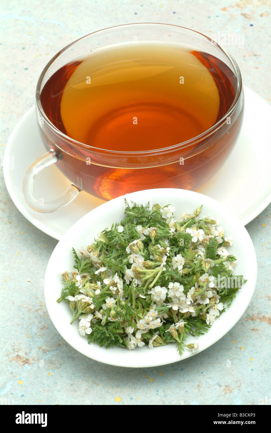 Achillea High Resolution Stock Photography and Images - Alamy