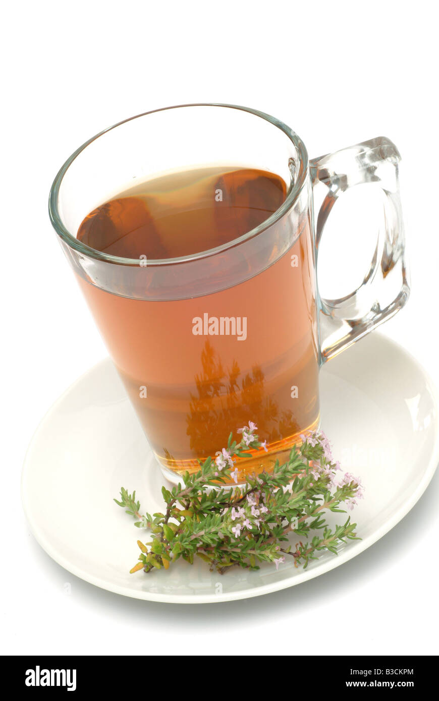 Thymiantee medicinal tea herbtea thyme thymetea thymus vulgaris timo ...