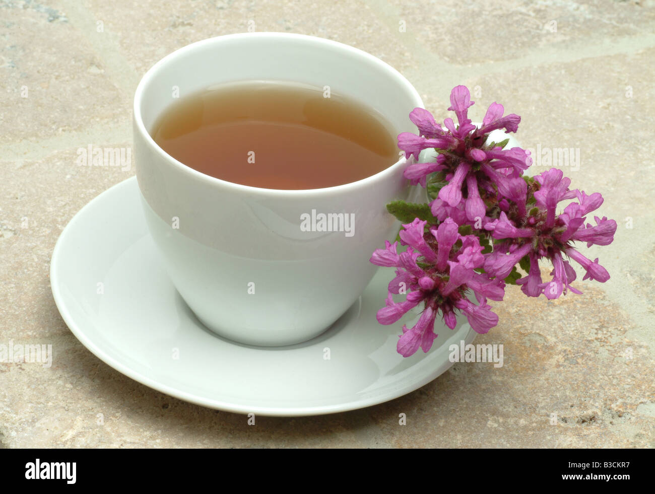 Betonytea betony tea woundworttea woundwort tea betony woundwort infuso ...