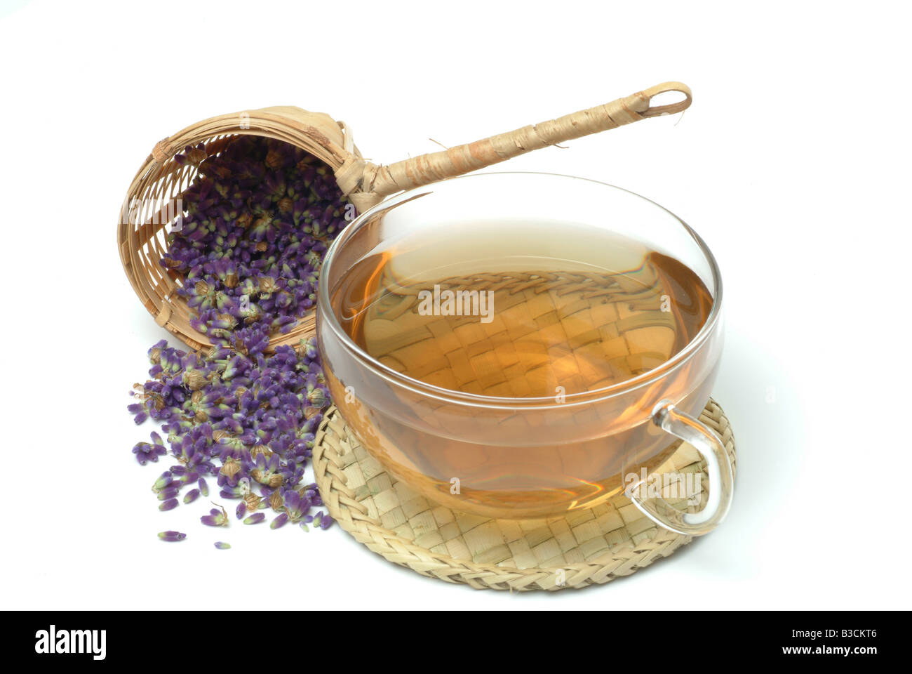 Lavendula angustifolia officinalis Cut Out Stock Images & Pictures - Alamy