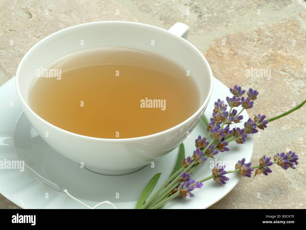 Medicinal herb tea and Blossom of the medicinal plant Lavender ...