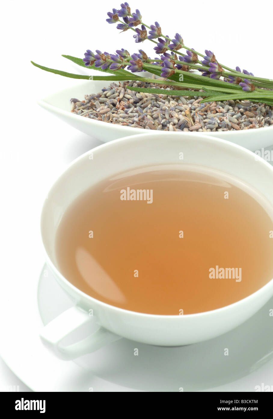 Medicinal herb tea and Blossom of the medicinal plant Lavender ...