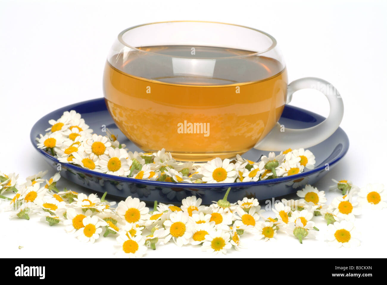 Feverfew Tea