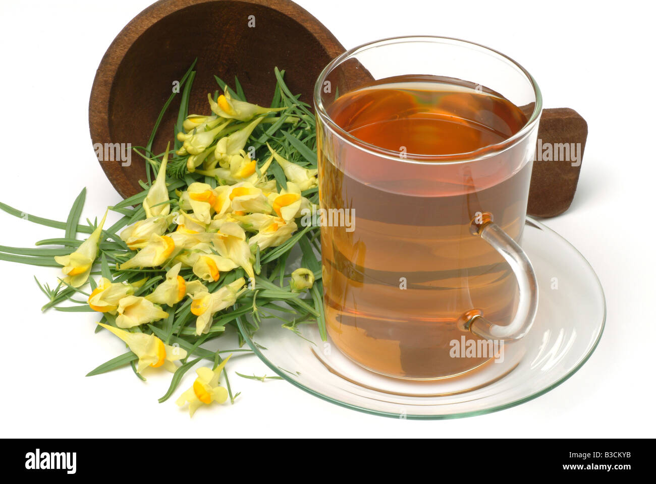 tea made of yellow toadflax medicinal plant herbtea medicinal tea ...