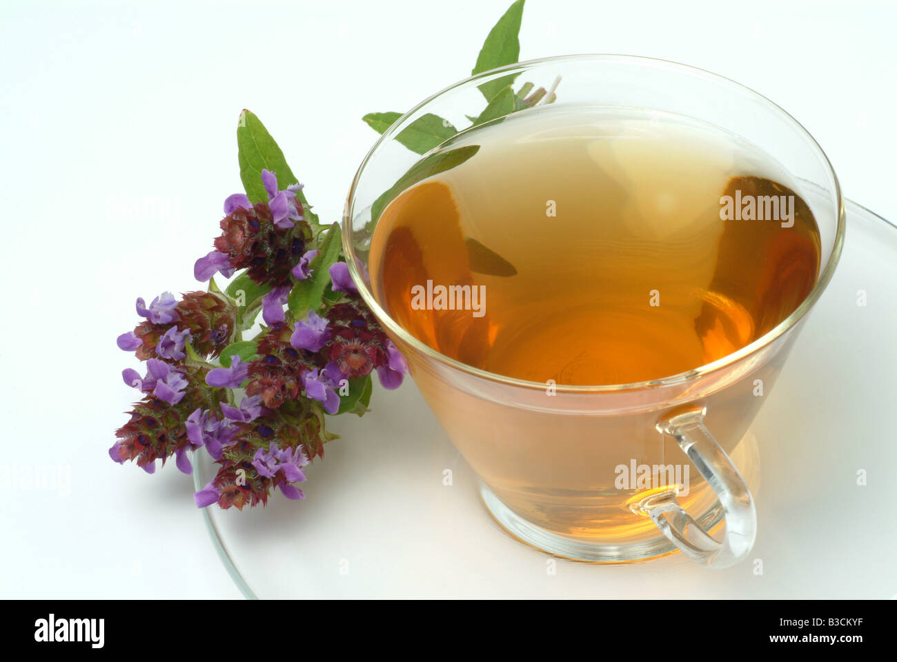 Prunella vulgaris tea hi-res stock photography and images - Alamy