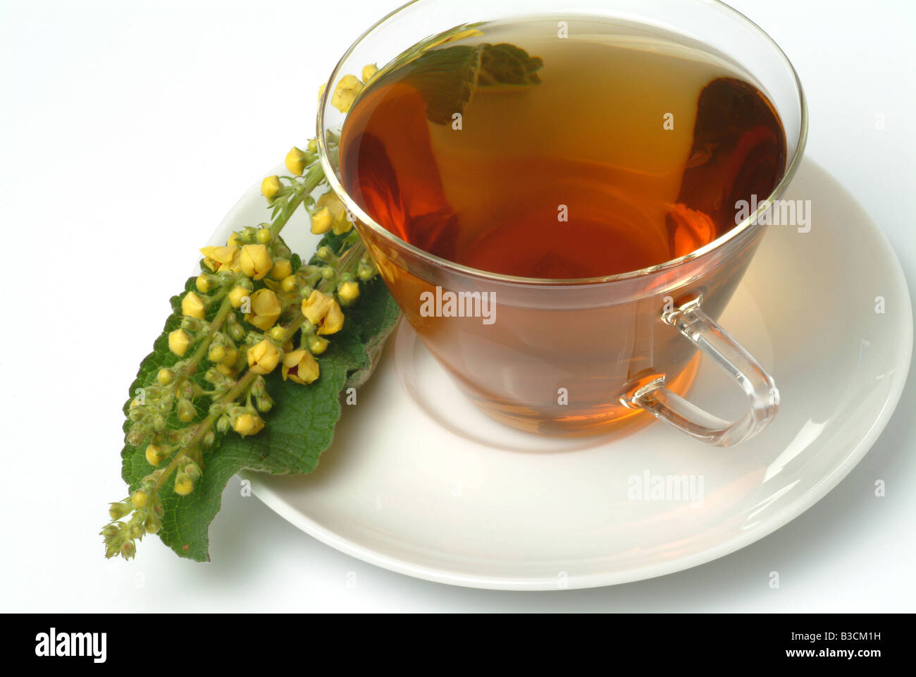 medicinal tea herbtea made of Verbascum nigrum Verbasco Stock Photo - Alamy