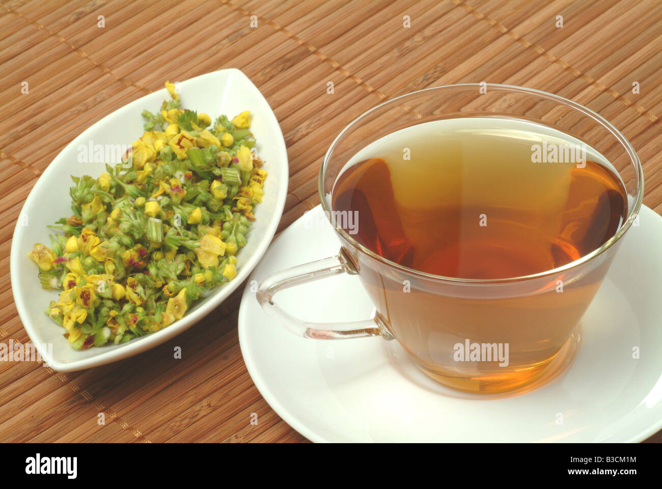 medicinal tea herbtea made of Verbascum nigrum Verbasco Stock Photo - Alamy