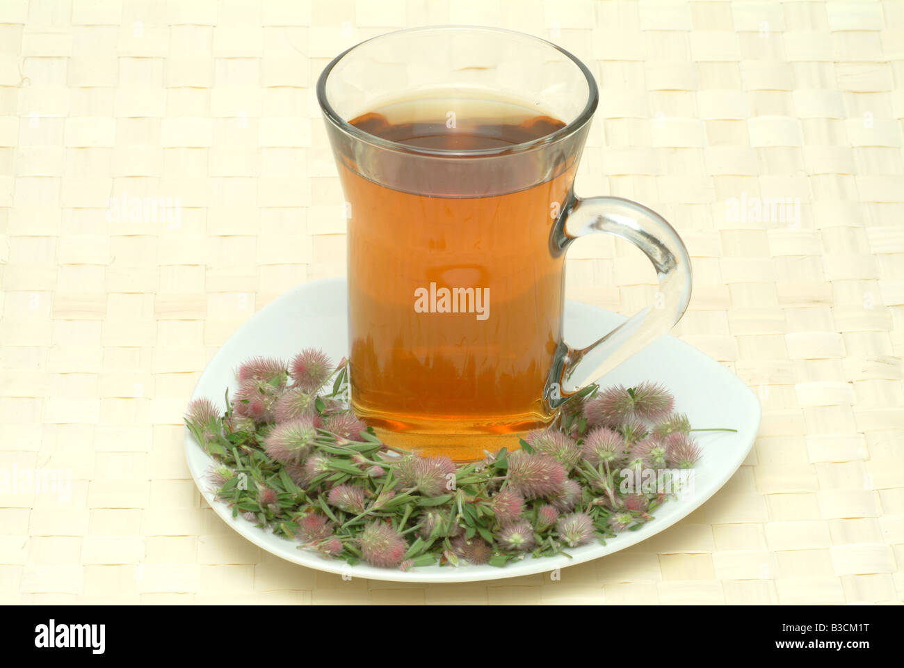 medicinal tea made of hare s foot hare s foot clover clover trifolium ...