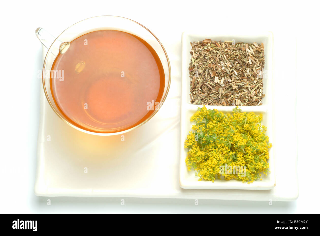 medicinal tea made of Lady s bedstraw gallio galium galium verum Stock ...
