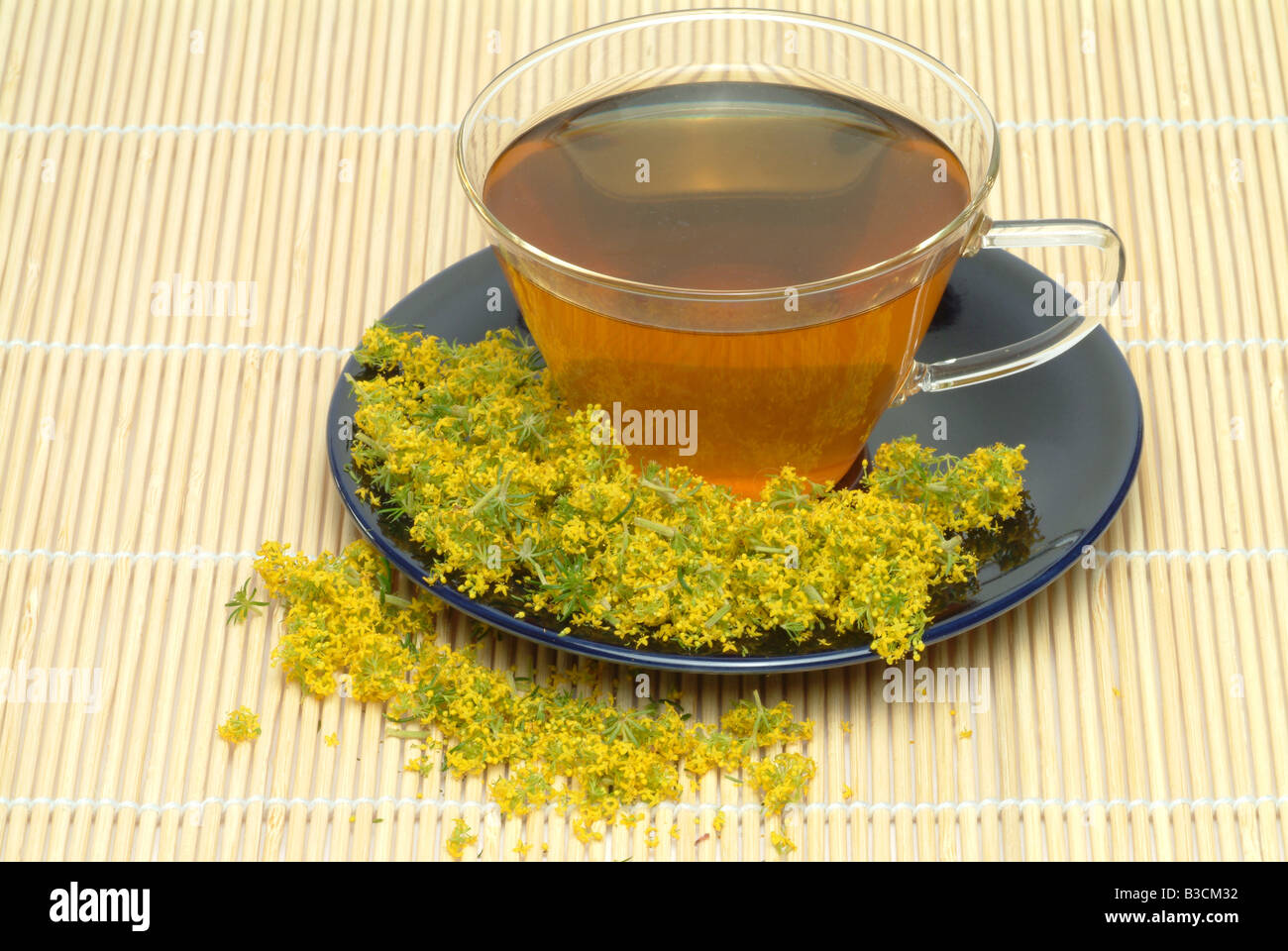 medicinal tea made of Lady s bedstraw gallio galium galium verum Stock ...