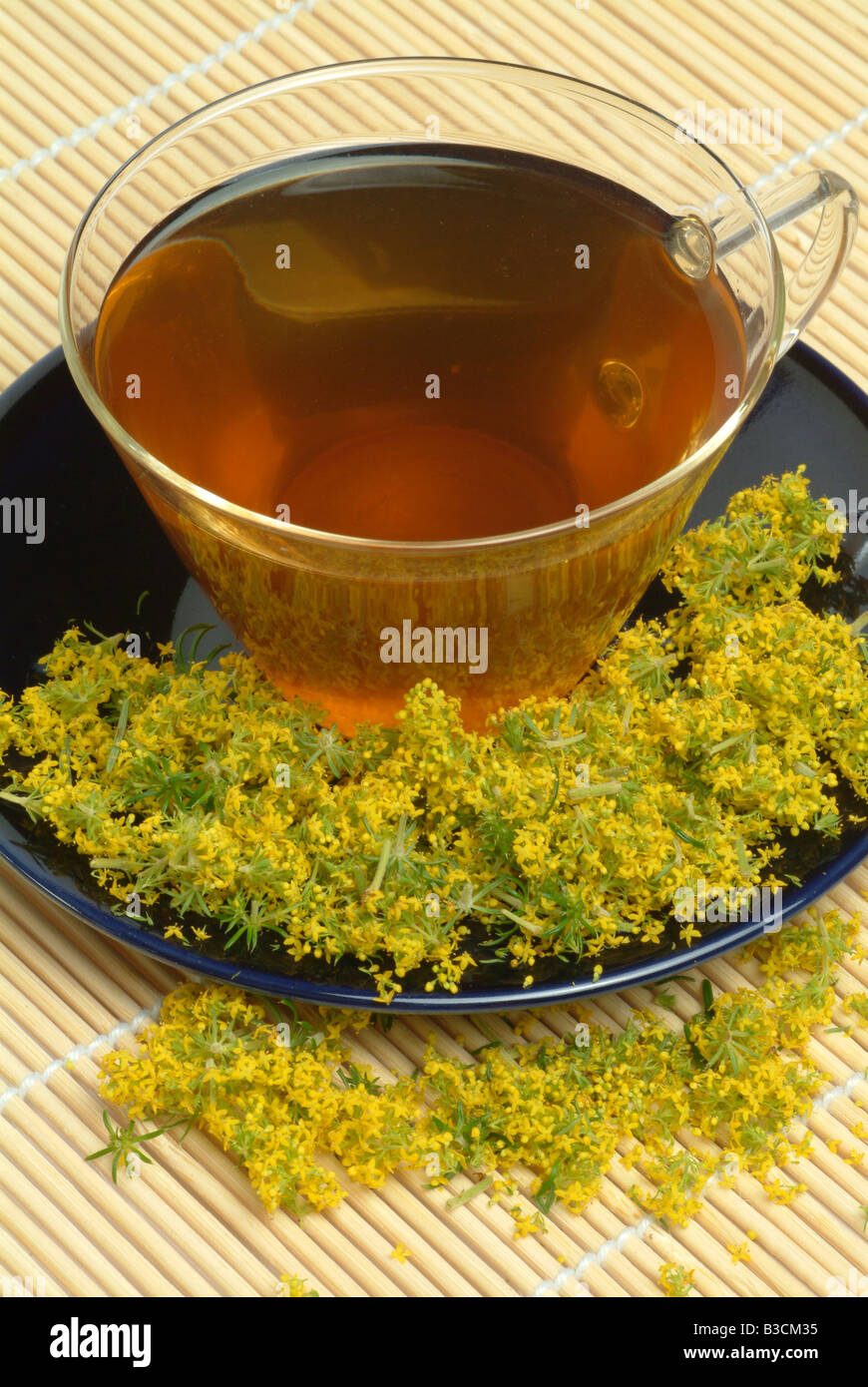 medicinal tea made of Lady s bedstraw gallio galium galium verum Stock ...
