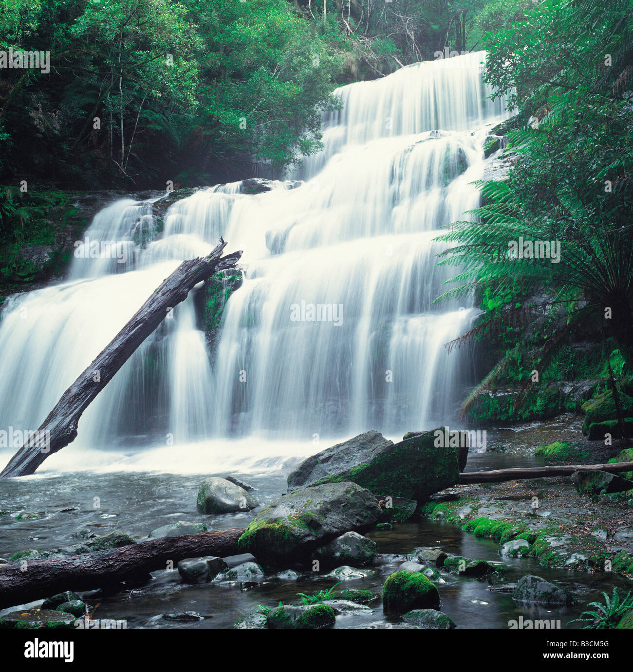 Liffey Falls rushing from rainforest in Tasmania Australia Stock Photo ...