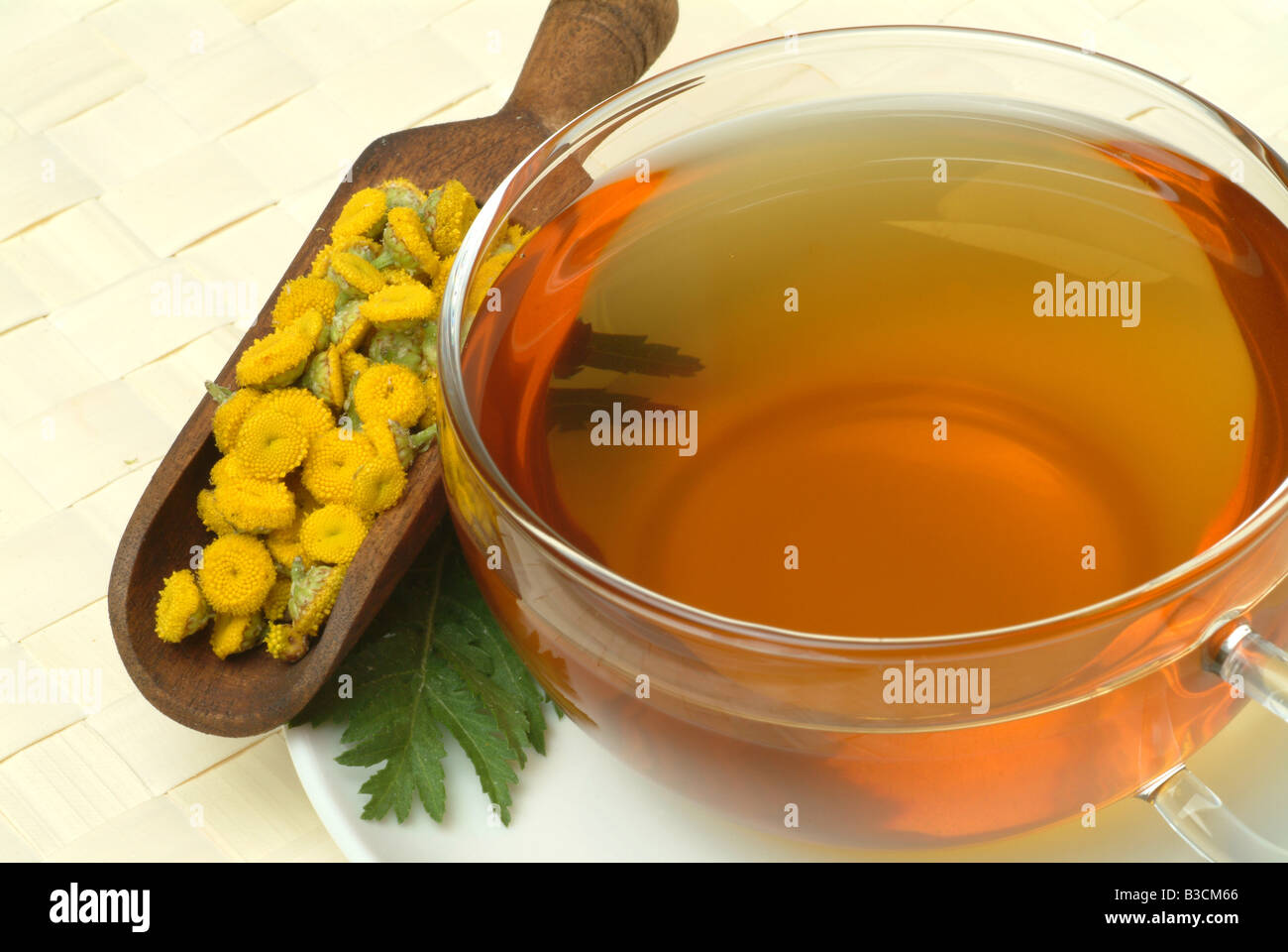 herbtea made of Tancy Tanecetum vulgare Tanaceto Tanecetum vulgaris ...