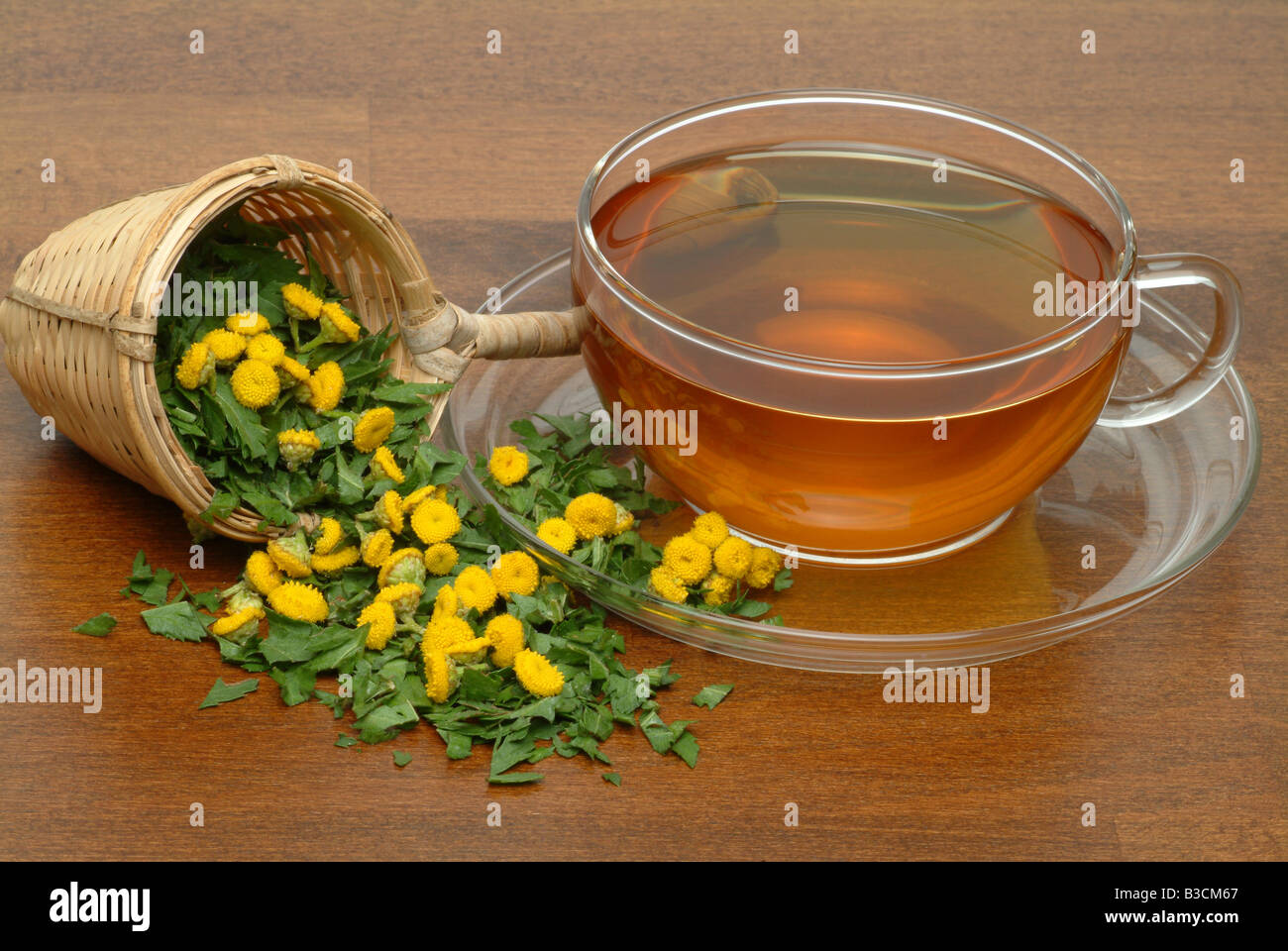 herbtea made of Tancy Tanecetum vulgare Tanaceto Tanecetum vulgaris ...