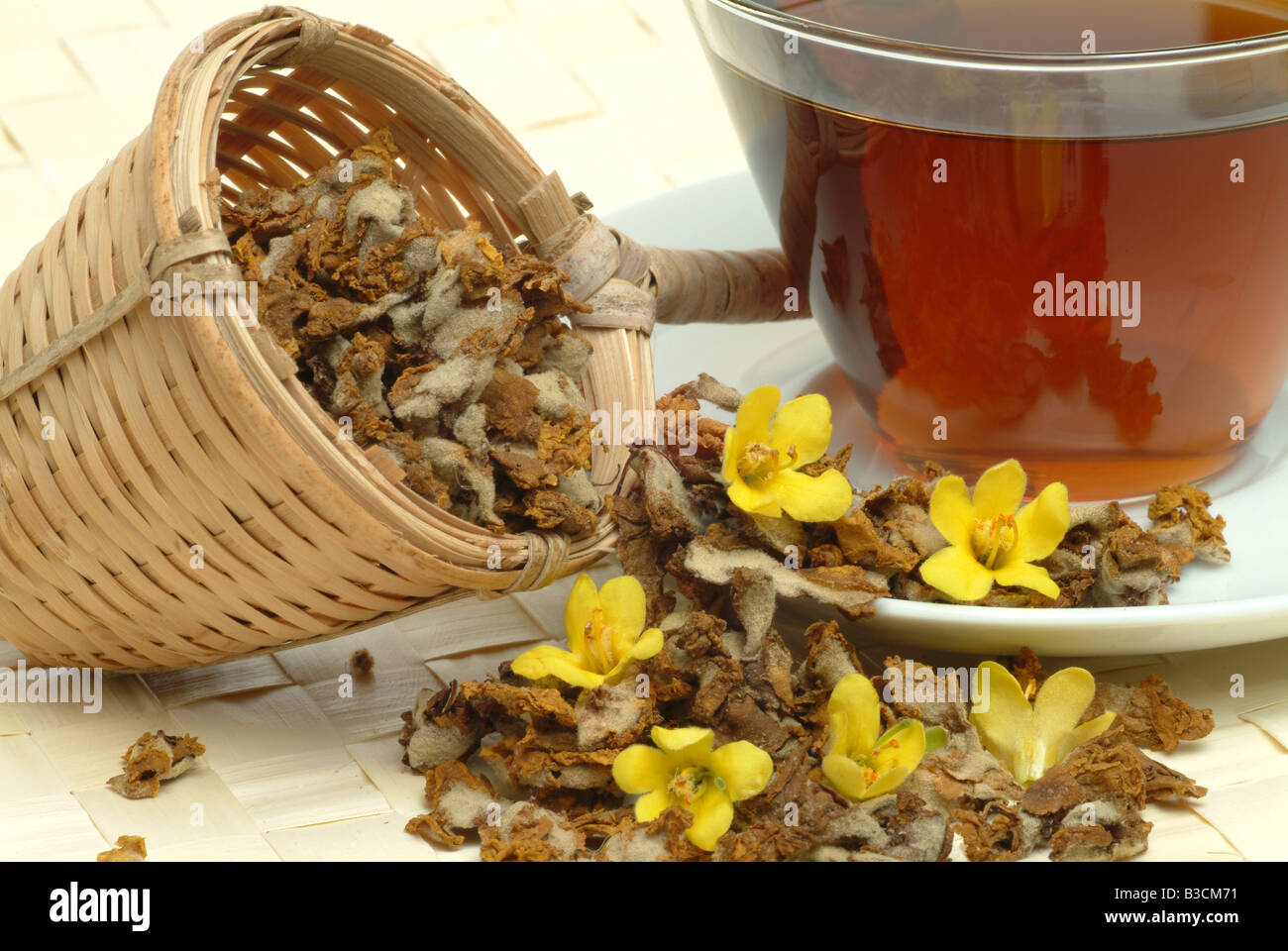 Densiflora hi-res stock photography and images - Alamy