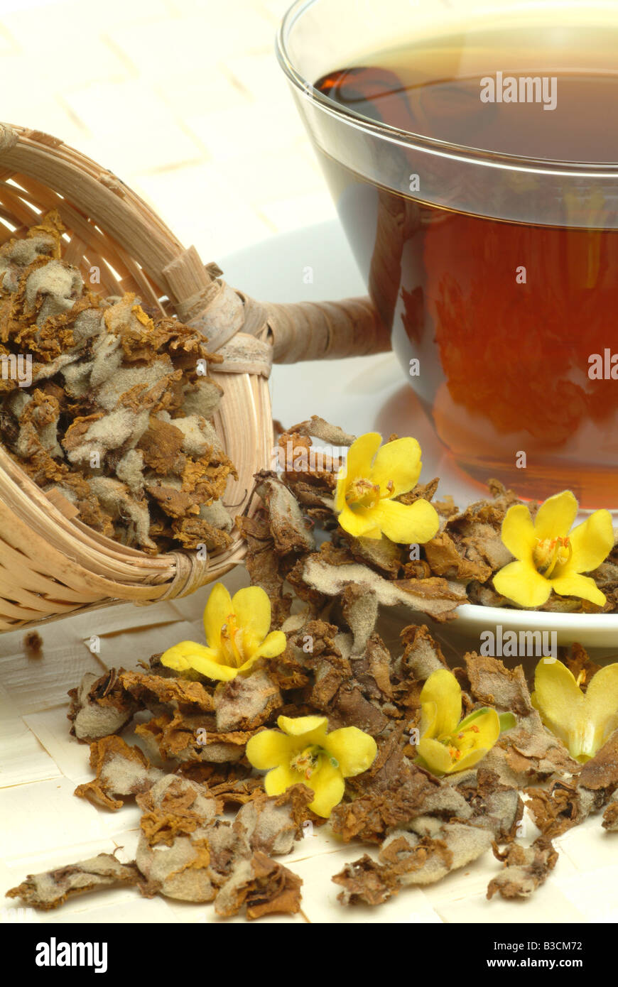 Chinese mullein hi-res stock photography and images - Alamy