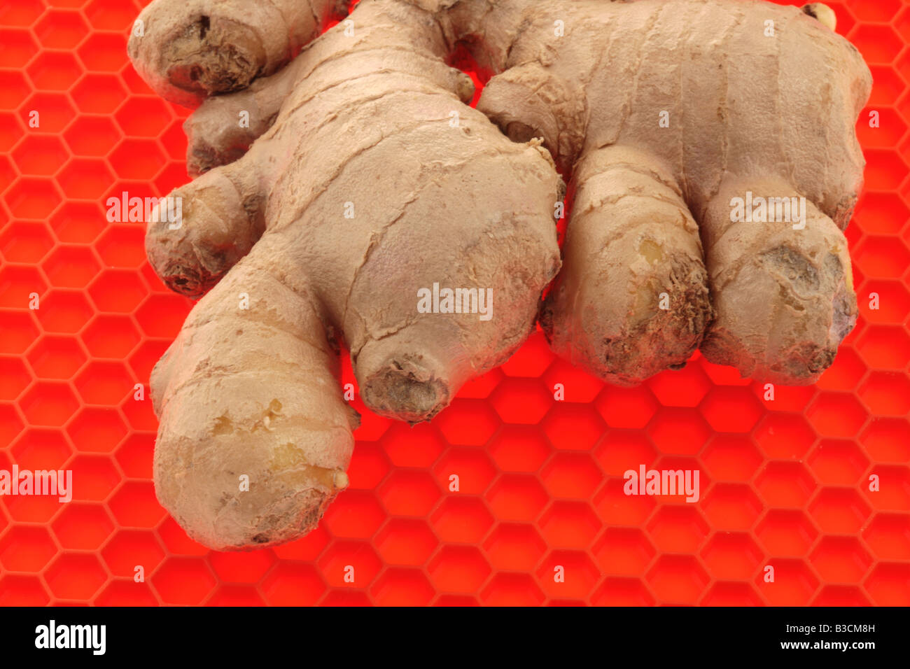 Red ginger root hi-res stock photography and images - Alamy