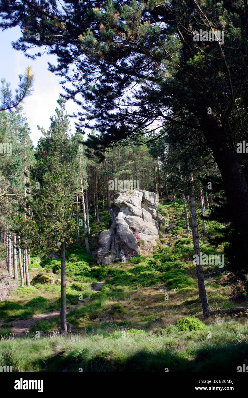 Simonside hi-res stock photography and images - Alamy