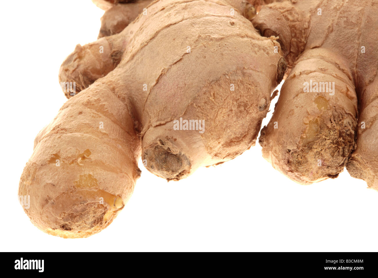 Fresh Ripe Healthy Root Ginger Cooking Ingredient Isolated Against A ...