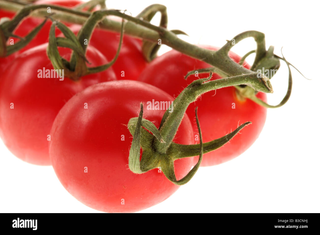 Vine tomates hi-res stock photography and images - Alamy