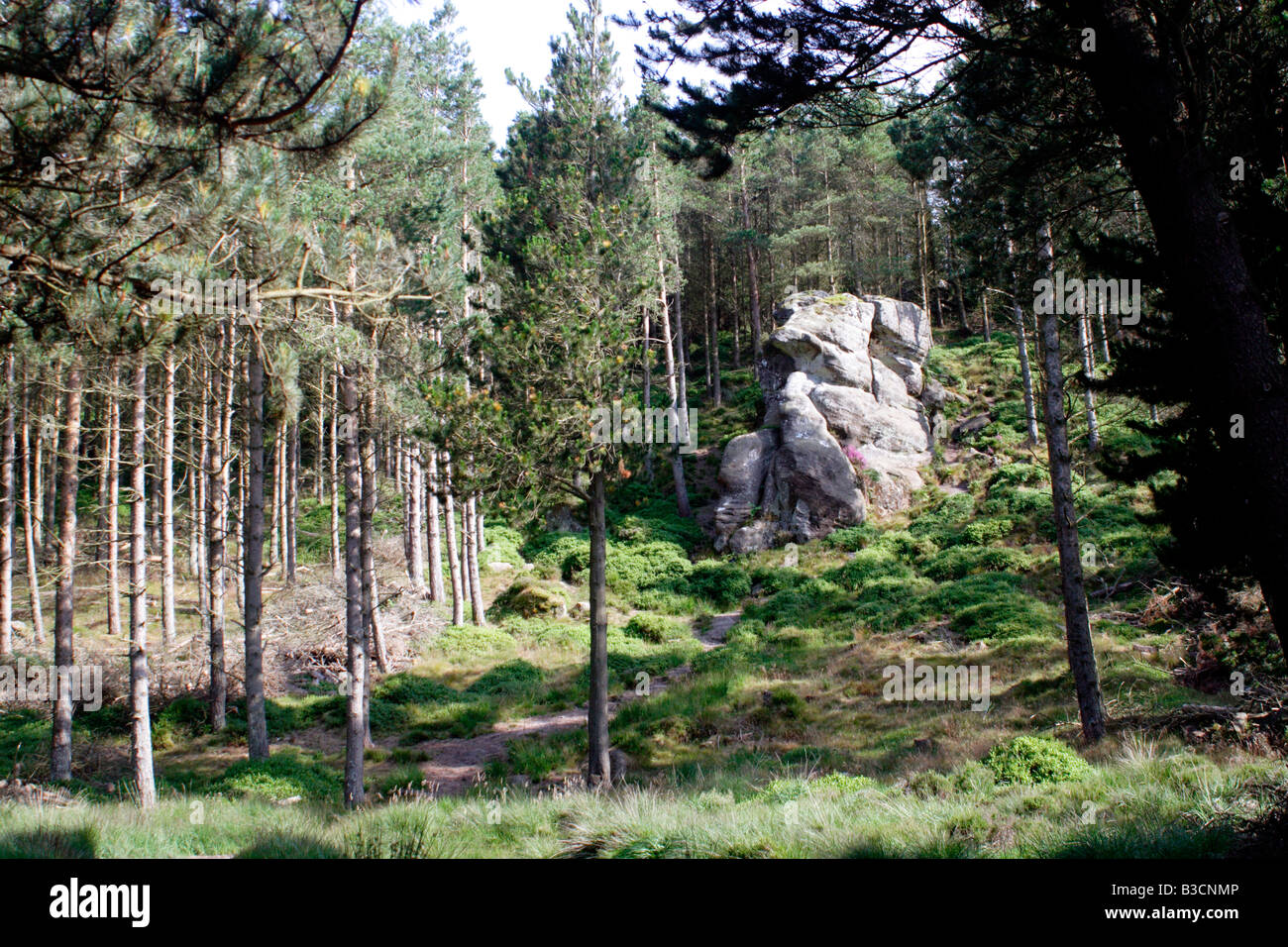 Simonside rocky outcrop hi-res stock photography and images - Alamy