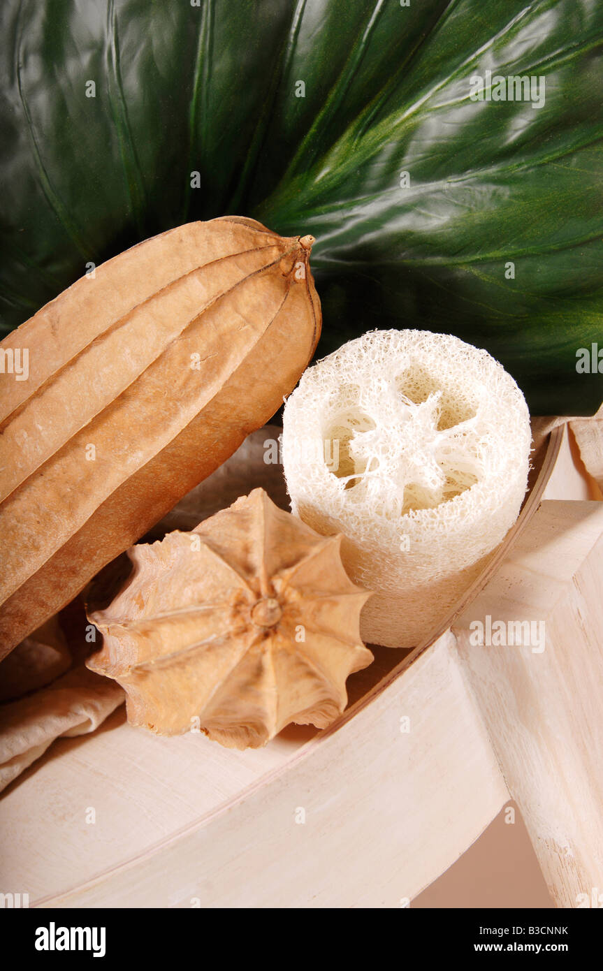 Wellness, Luffa products Stock Photo - Alamy