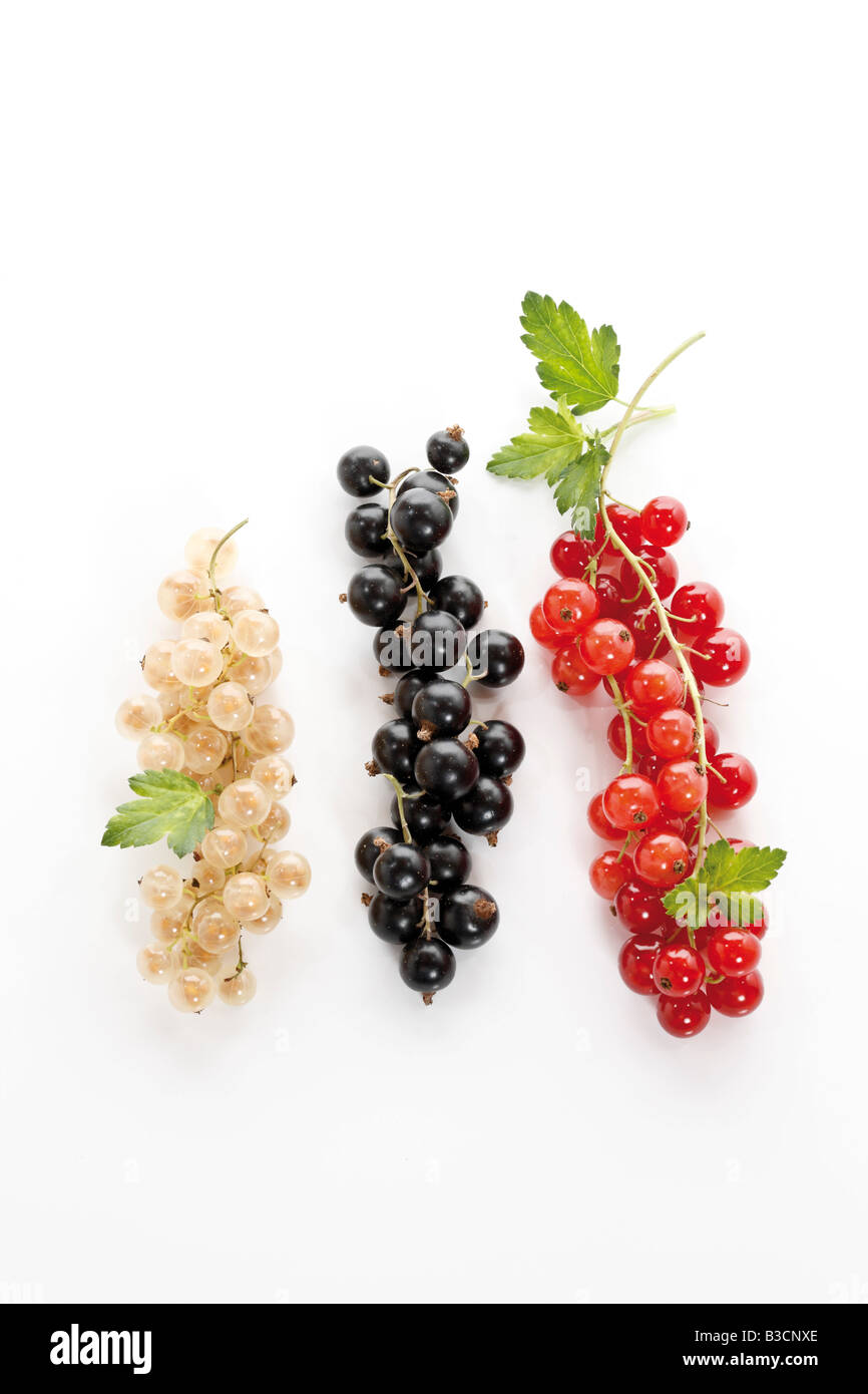 Currants, elevated view Stock Photo - Alamy