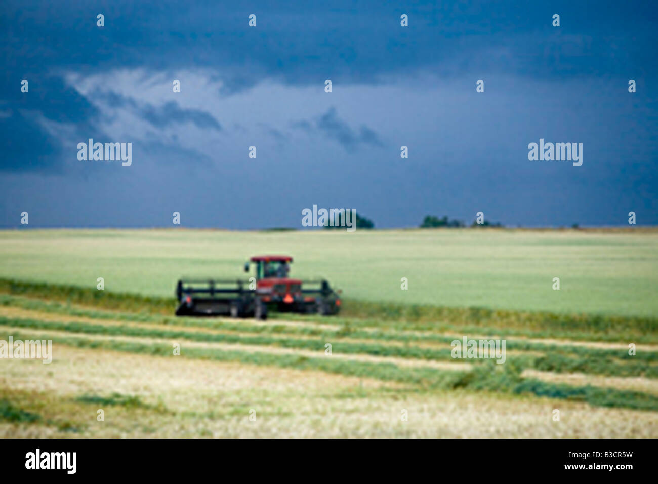 A crop being harvested by a farmer in rural Alberta Stock Photo - Alamy